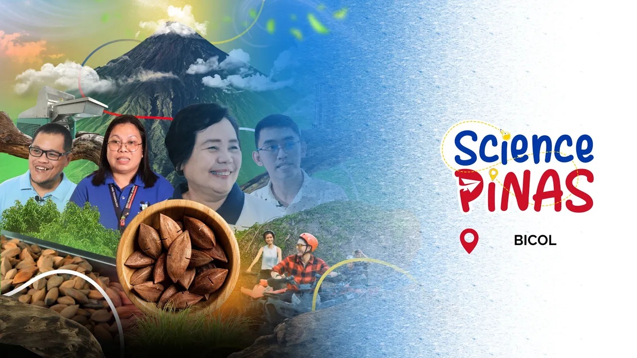 Science Pinas E5: Pili R&D Center | Albay | DOSTv - Science for the People